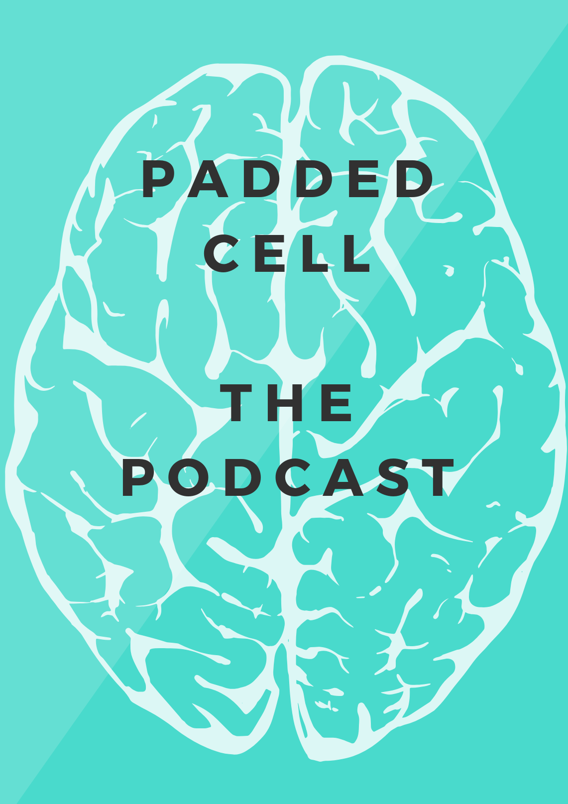 About Padded Cell - Padded Cell Podcast
